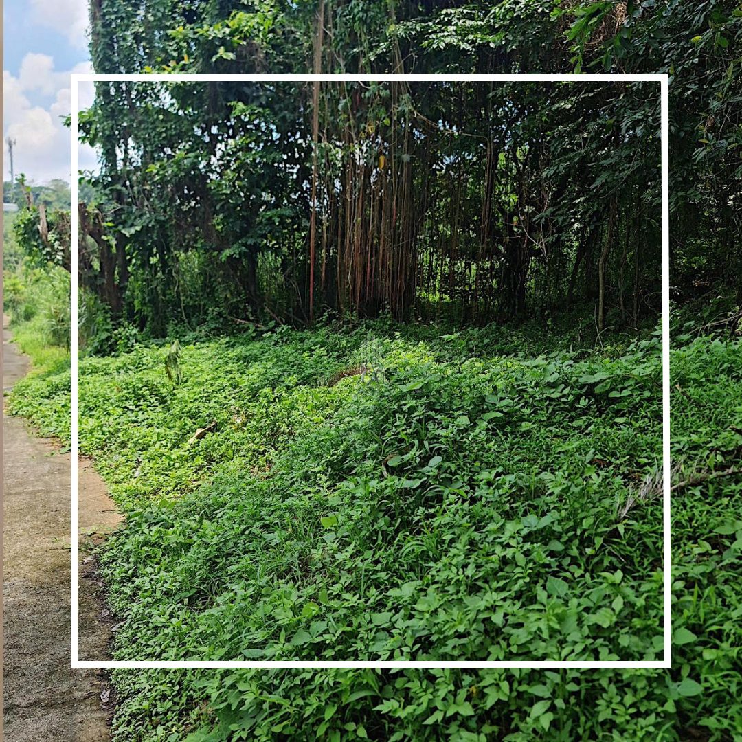 The Ranch, Timberland Heights, San Mateo, Rizal – Lot for Sale - 27C Realty